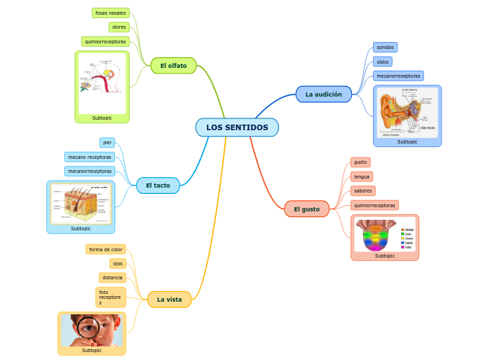 LOS SENTIDOS - Mind Map